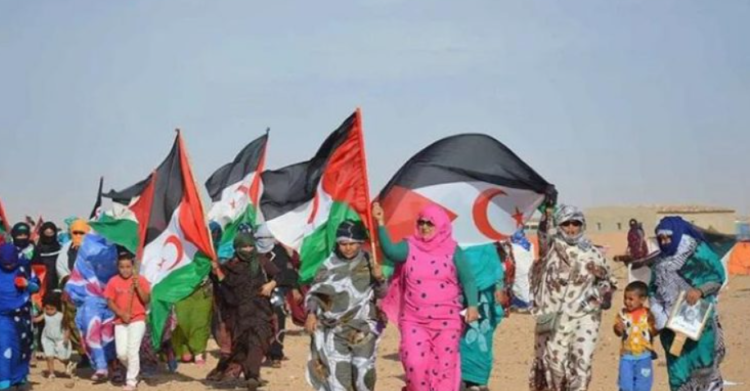 The 49th Anniversary of the Sahrawi Republic Declaration: A Continuous ...